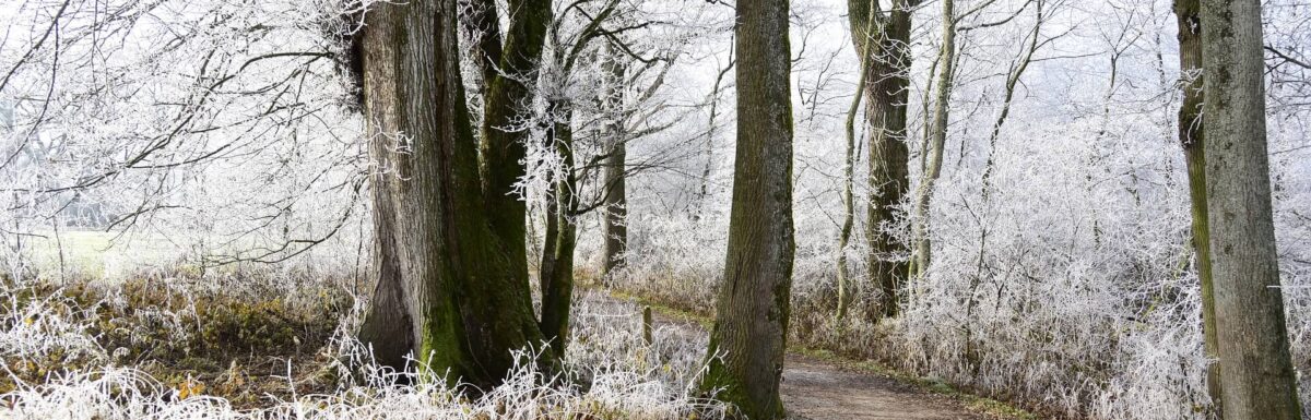 Optimizing The Perfect Clickfunnels Background Image Size